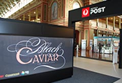 Museums Display Cabinets, Museum Display Cases - Showfront