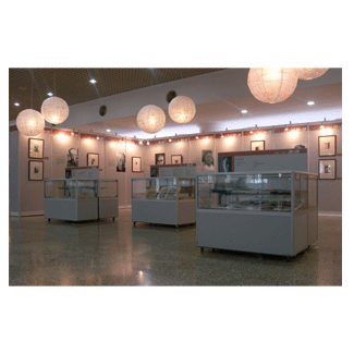 Museums Display Cabinets, Museum Display Cases - Showfront