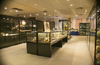 Gallery - Showfront Museums